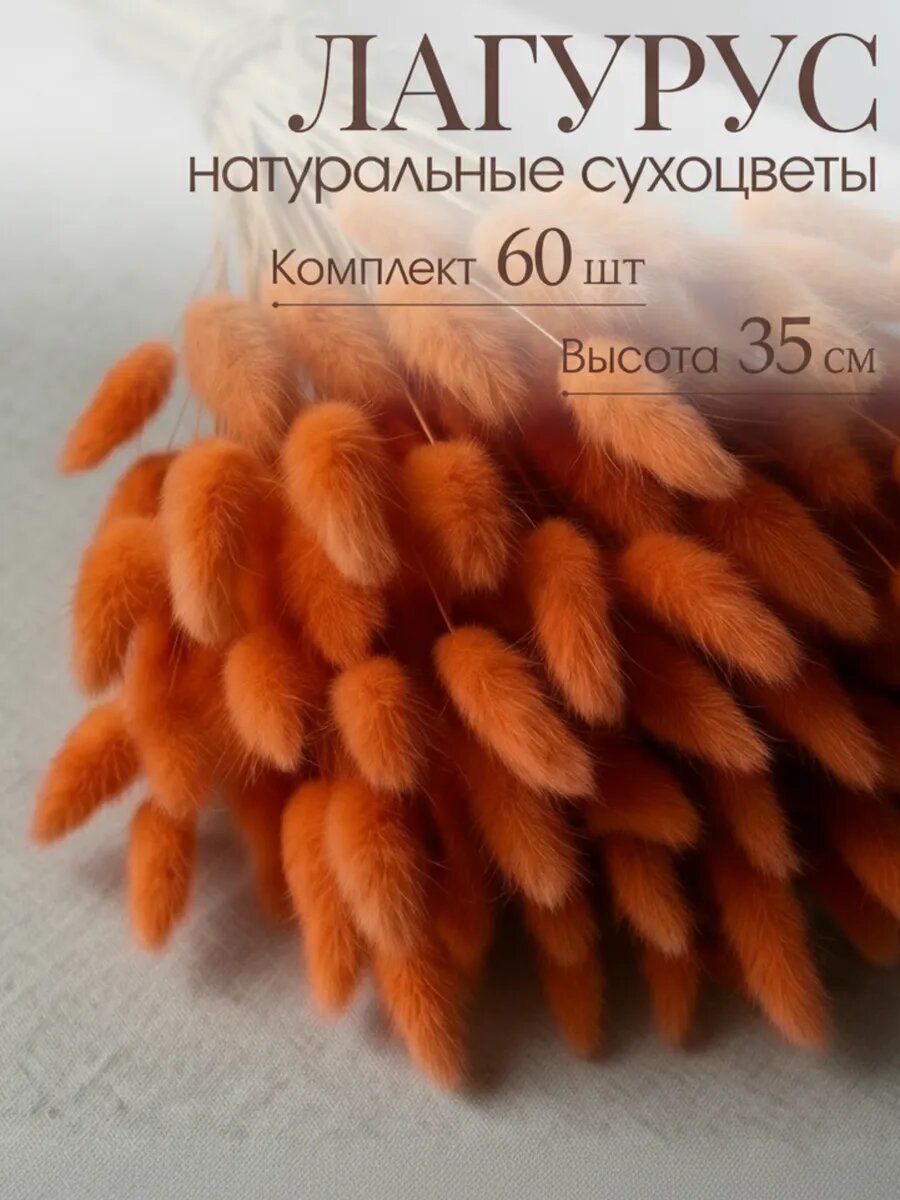 Лагурус сухоцвет лососевый 60 штук, натуральные сухоцветы для декора Elka.bio до 35 см