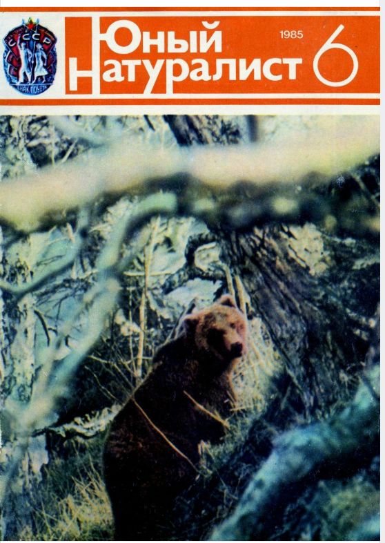Журнал Юный натуралист №06 1985 г.