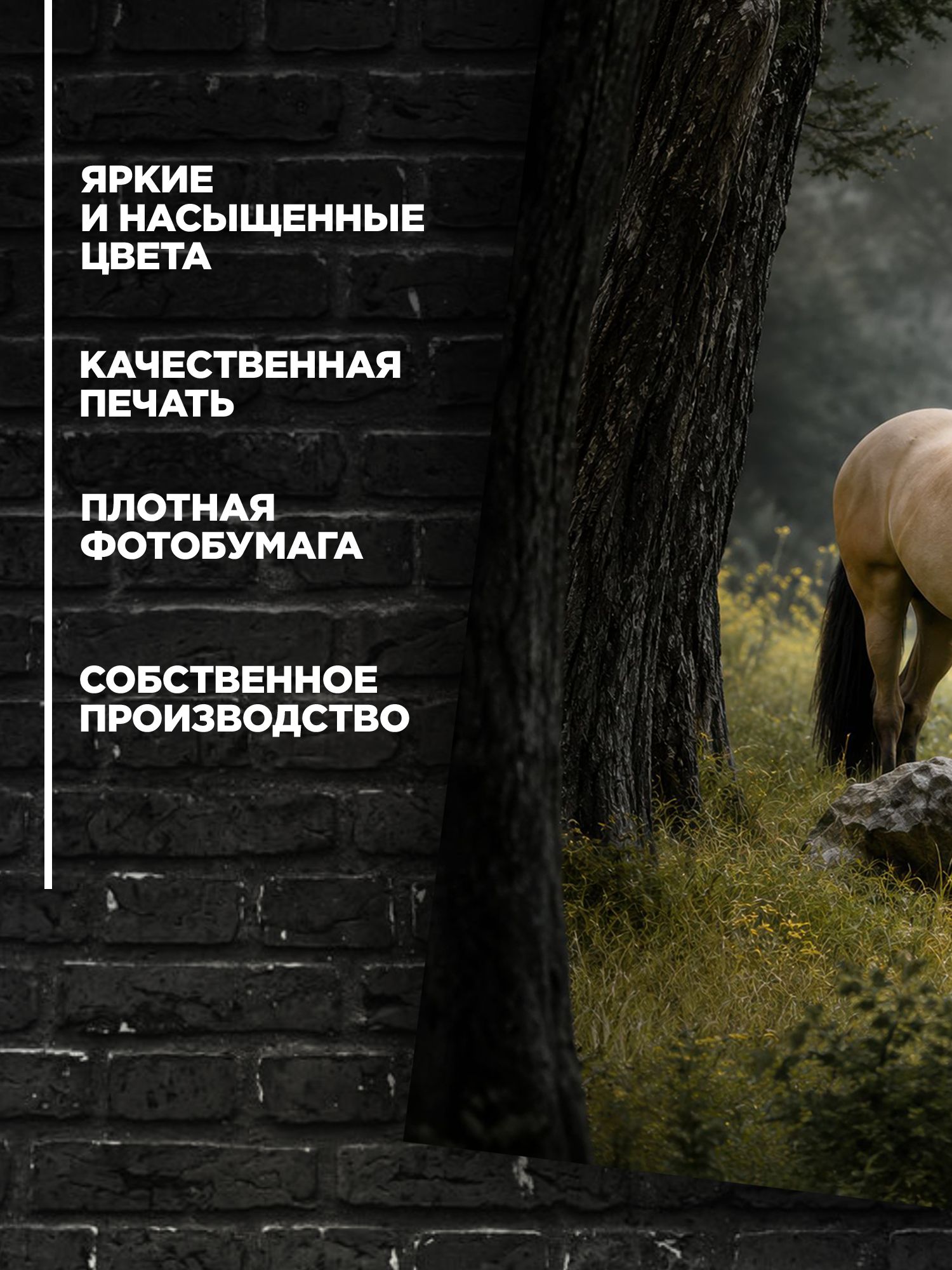 Постер на стену Лошадь — фото 1