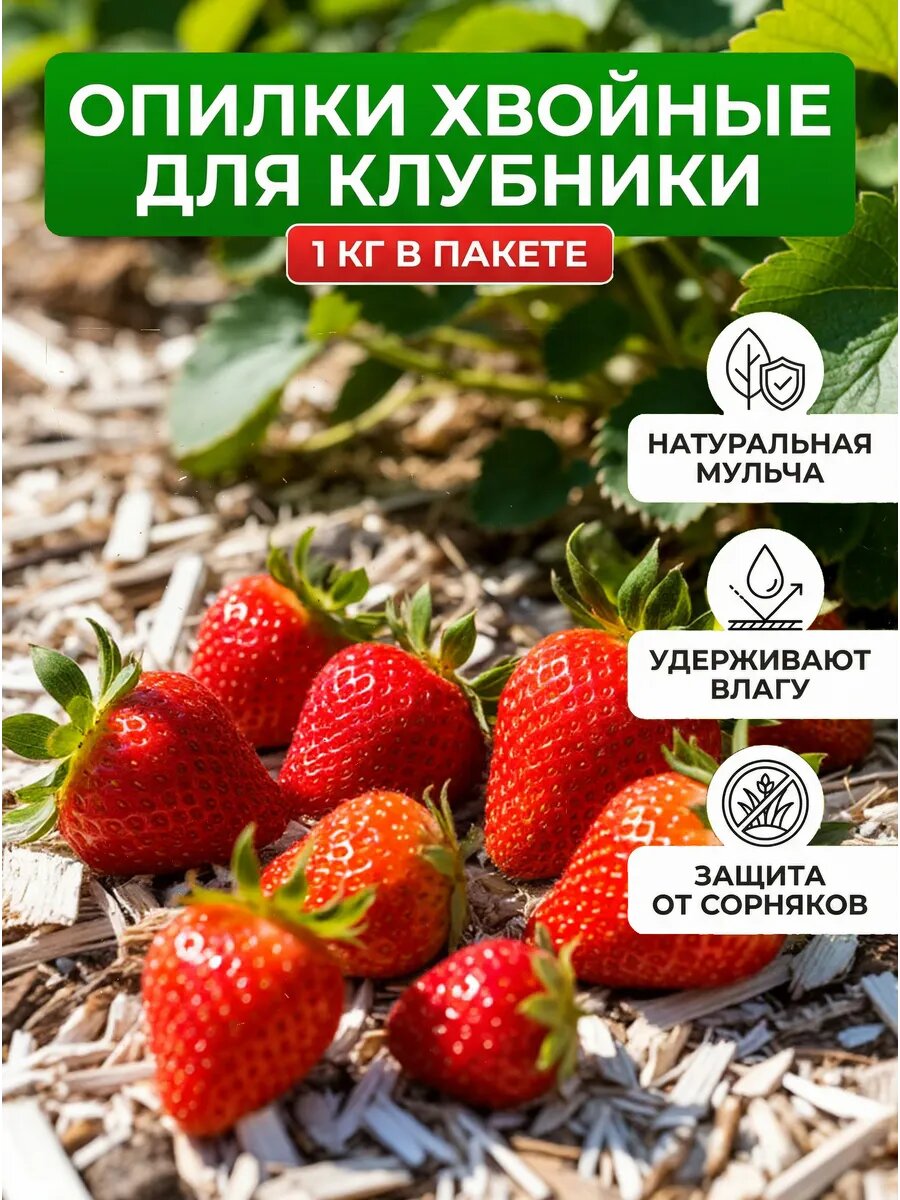 Опилки хвойные со стружкой для мульчирования клубники 1 кг РБС-Агро