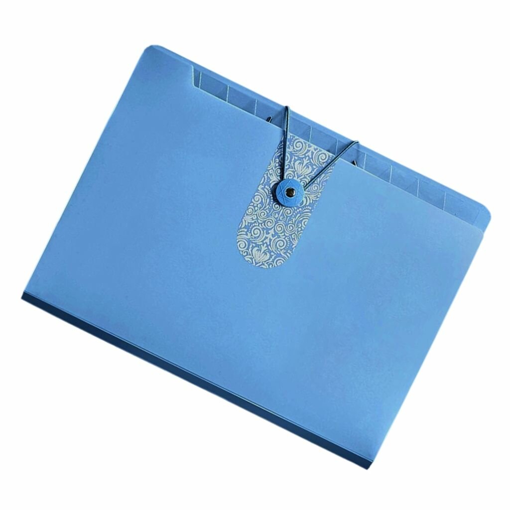 Папка для сортировки документов 12 карманов расширяемая папка, Маргаритка голубая - 12-й этаж