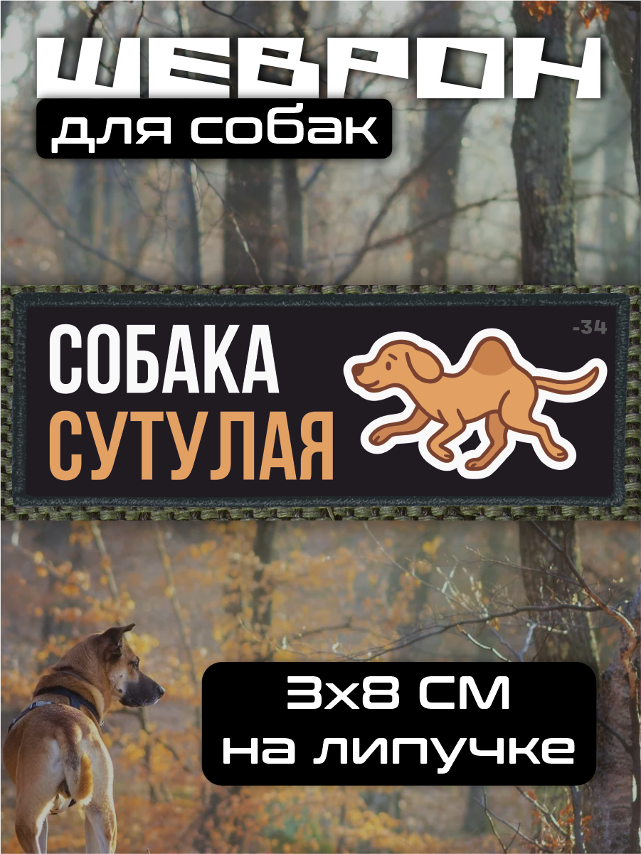 Шеврон на липучке для собак собака сутулая прикол