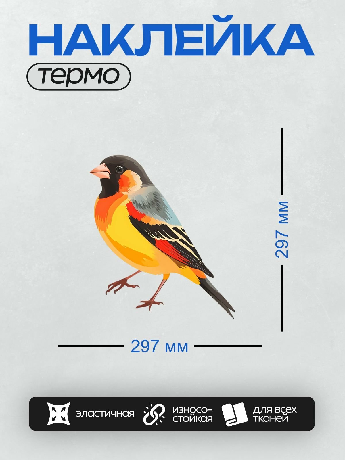 Термонаклейка PrintyFull для одежды, термоаппликация / DTF печать / Яркий щегол