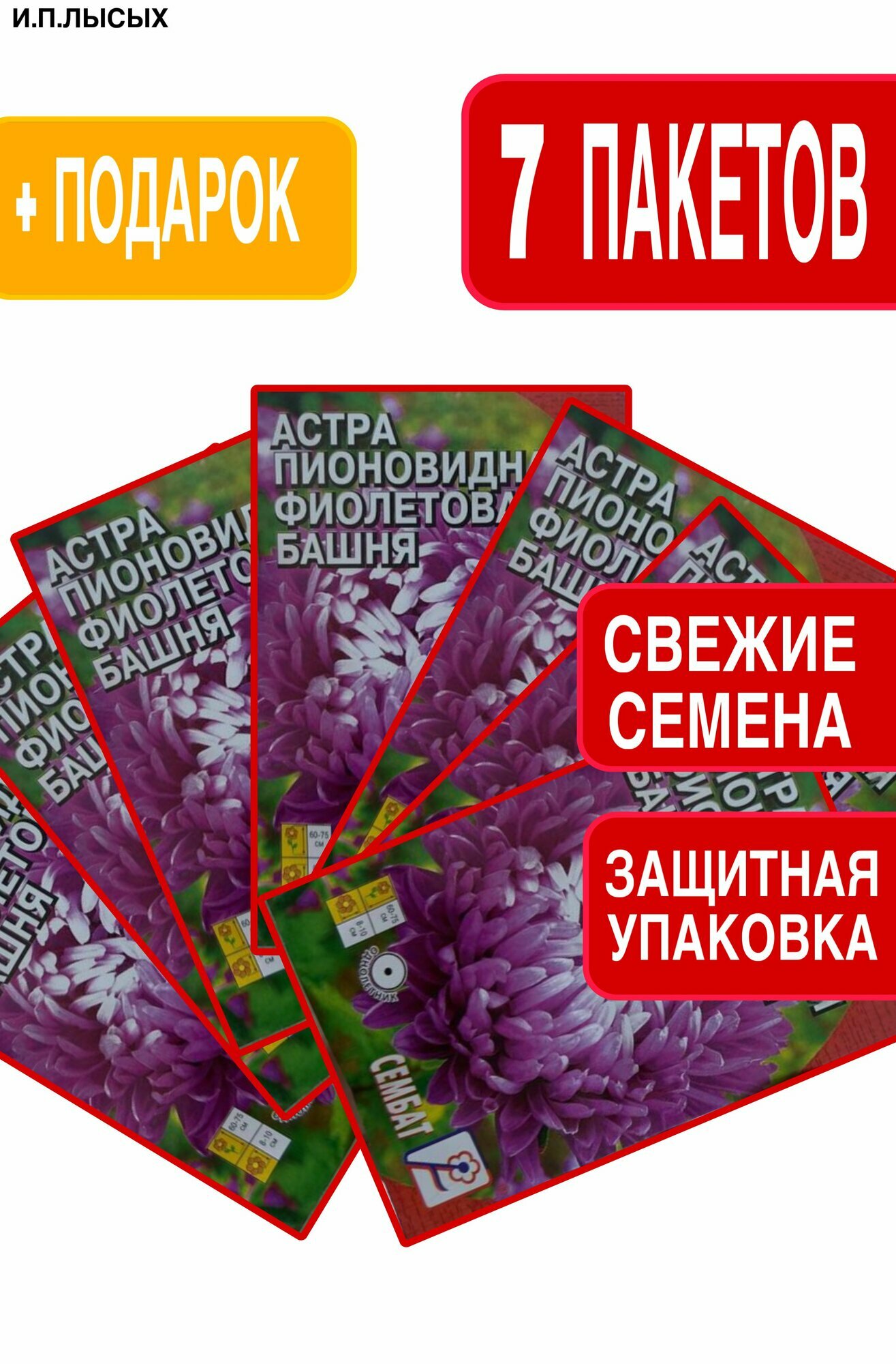 Семена Астра Пионовидная "Фиолетовая Башня"