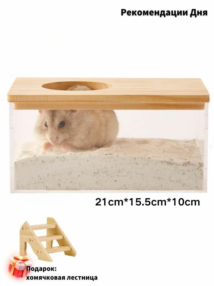 Купалка для мелких грызунов/Домик для хомяков, Бесплатная лестница для хомяка