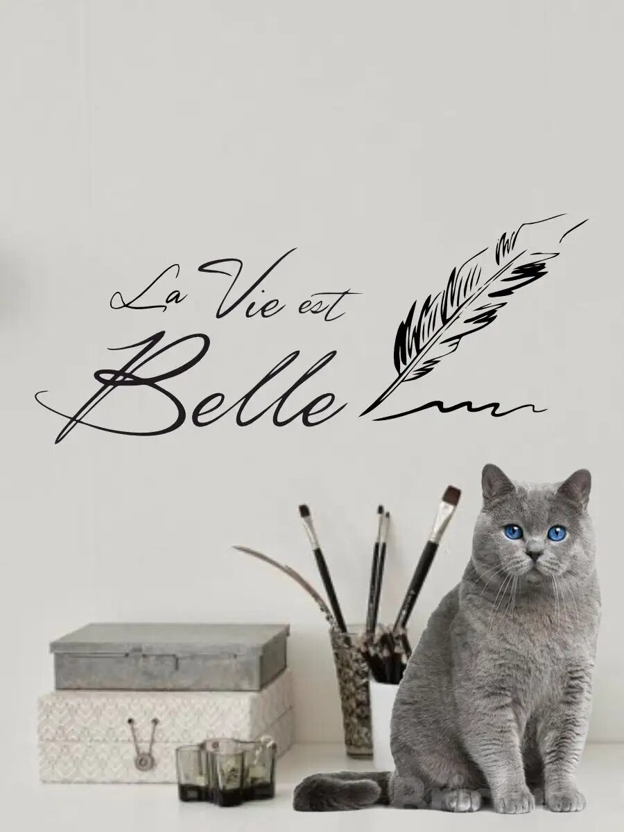 Наклейка на стену для декора интерьерная La Vie est Belle