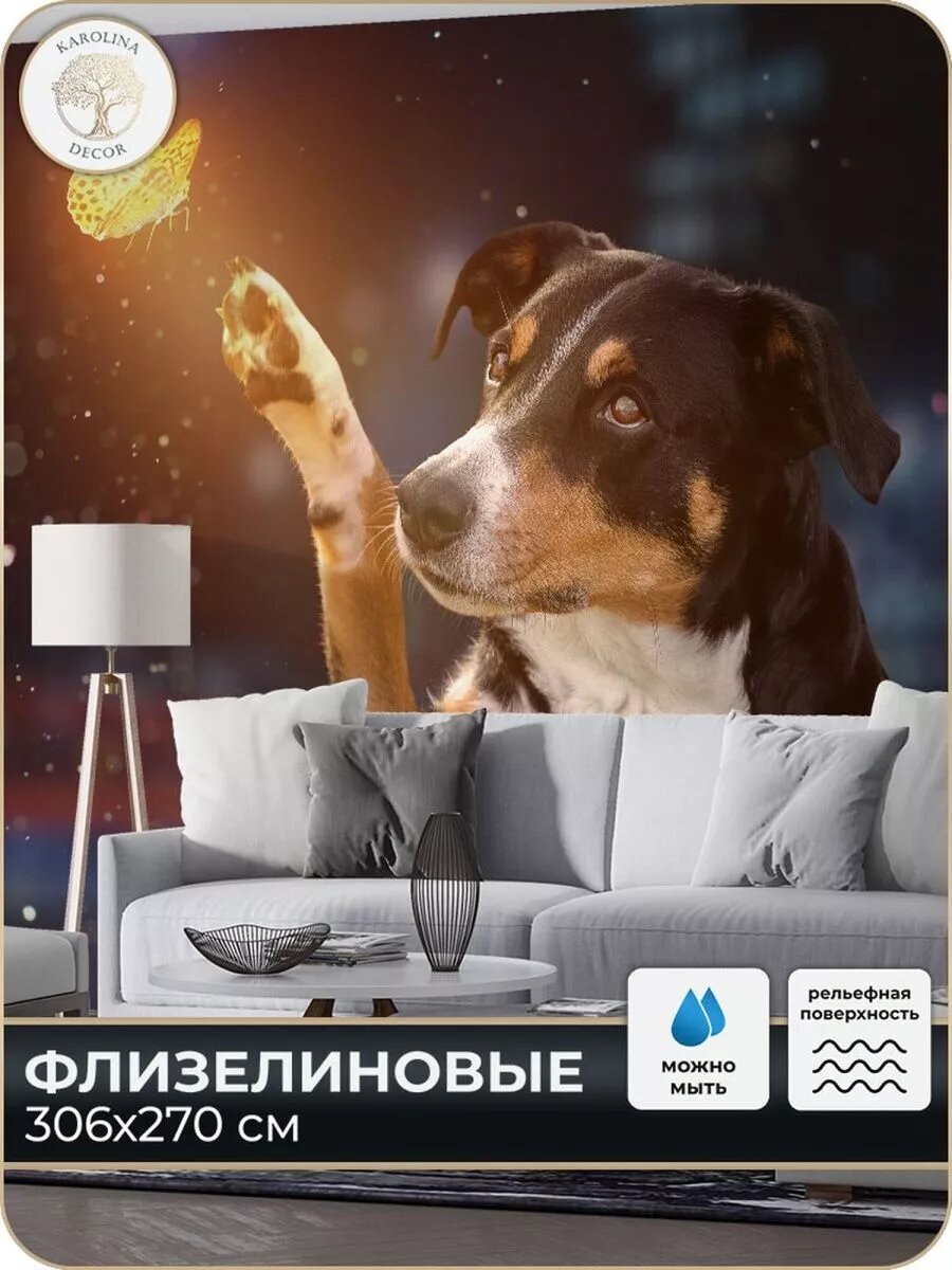 Фотообои Собака в спальню в зал 300х270