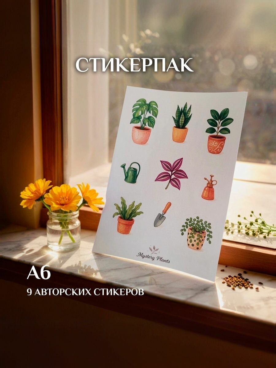 Стикерпак комнатные растения
