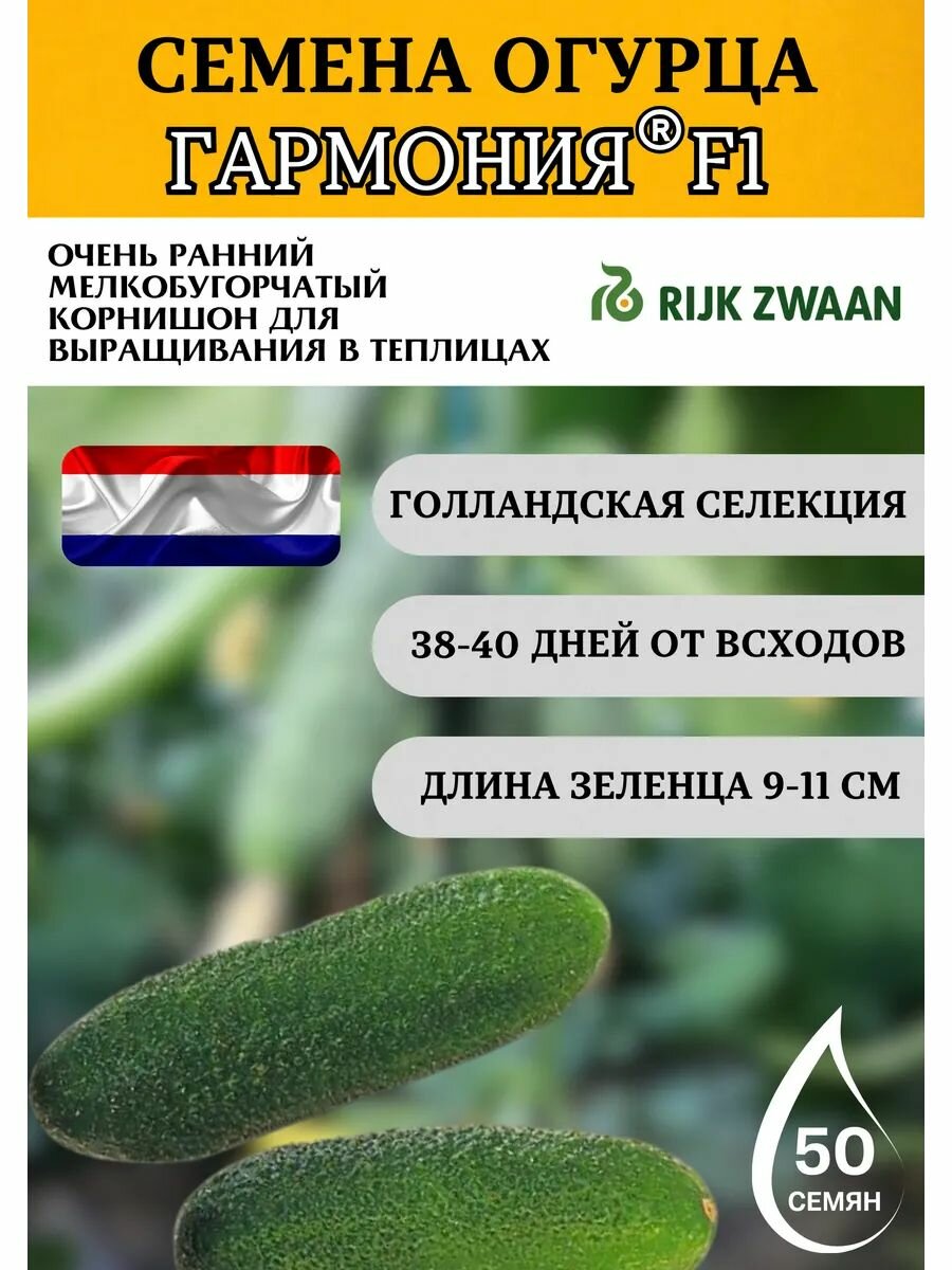 Семена огурца Rijk Zwaan Гармония F1, раннеспелые высокоурожайные, 50 семян