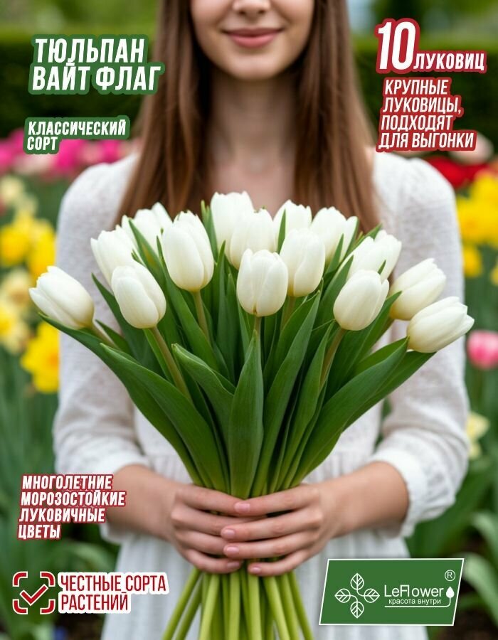 Тюльпан Луковица, Вайт Флаг, 10шт