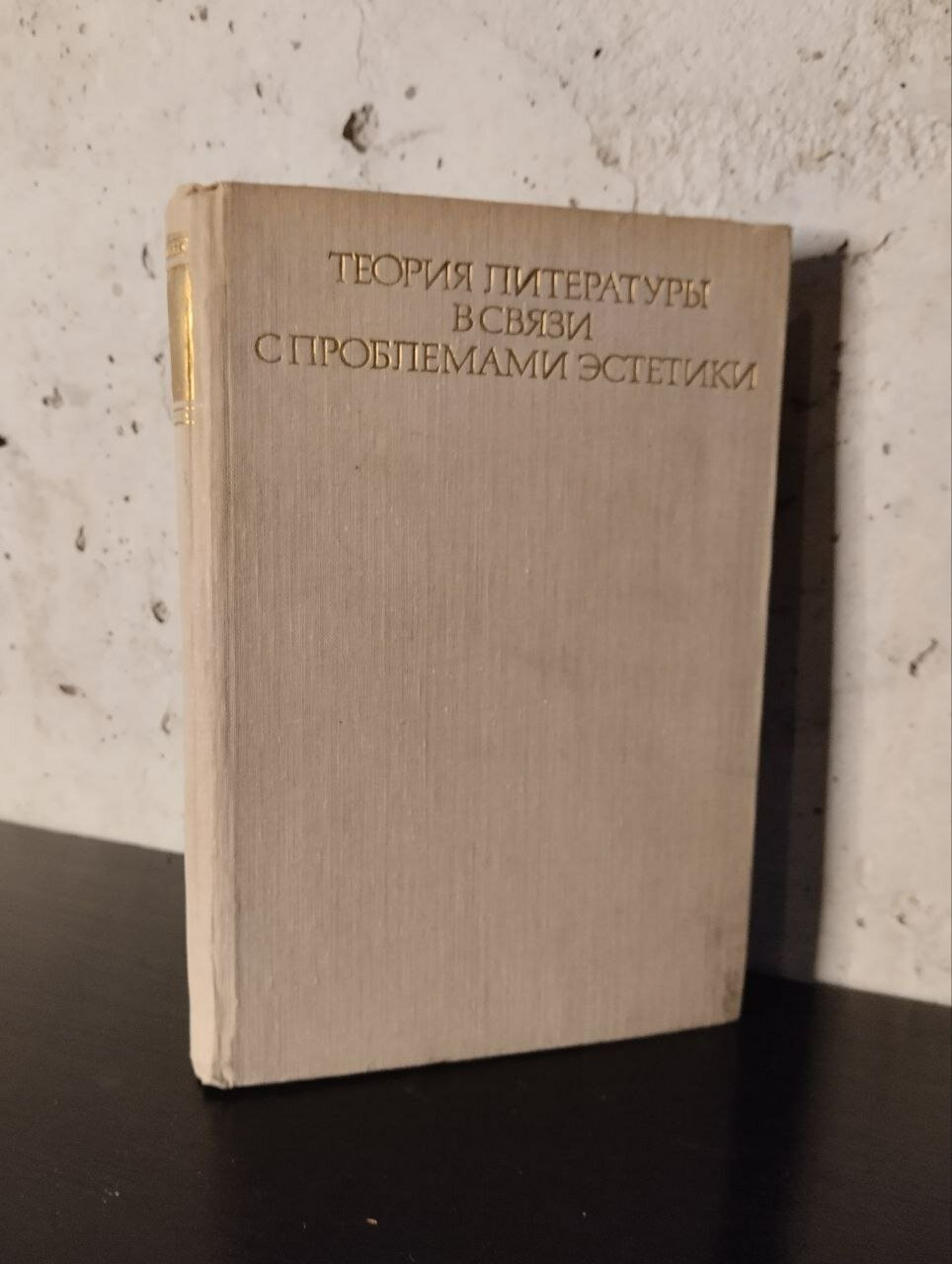 Теория литературы в связи с проблемами эстетики