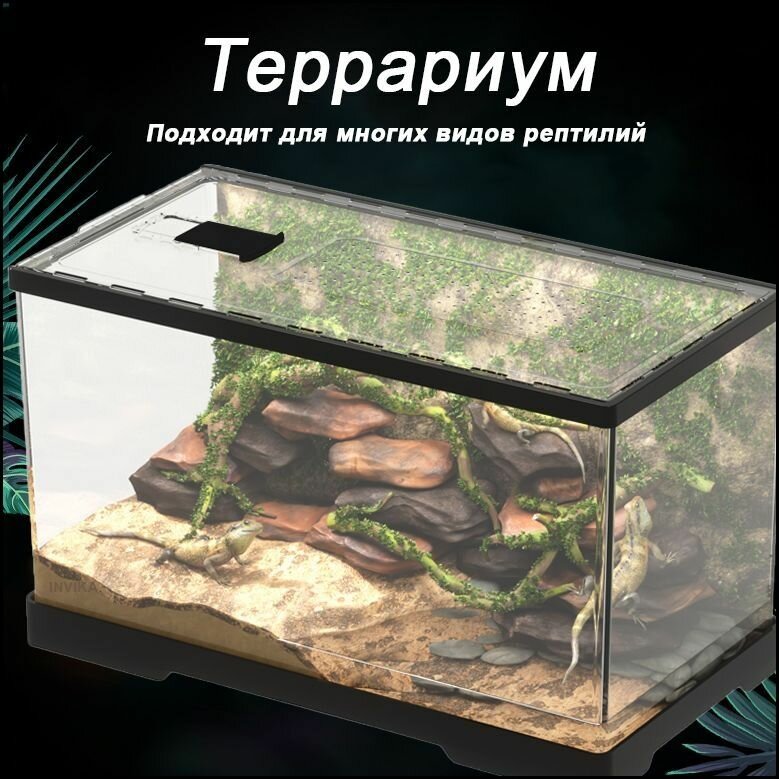 Террариум для рептилий , улиток , паука