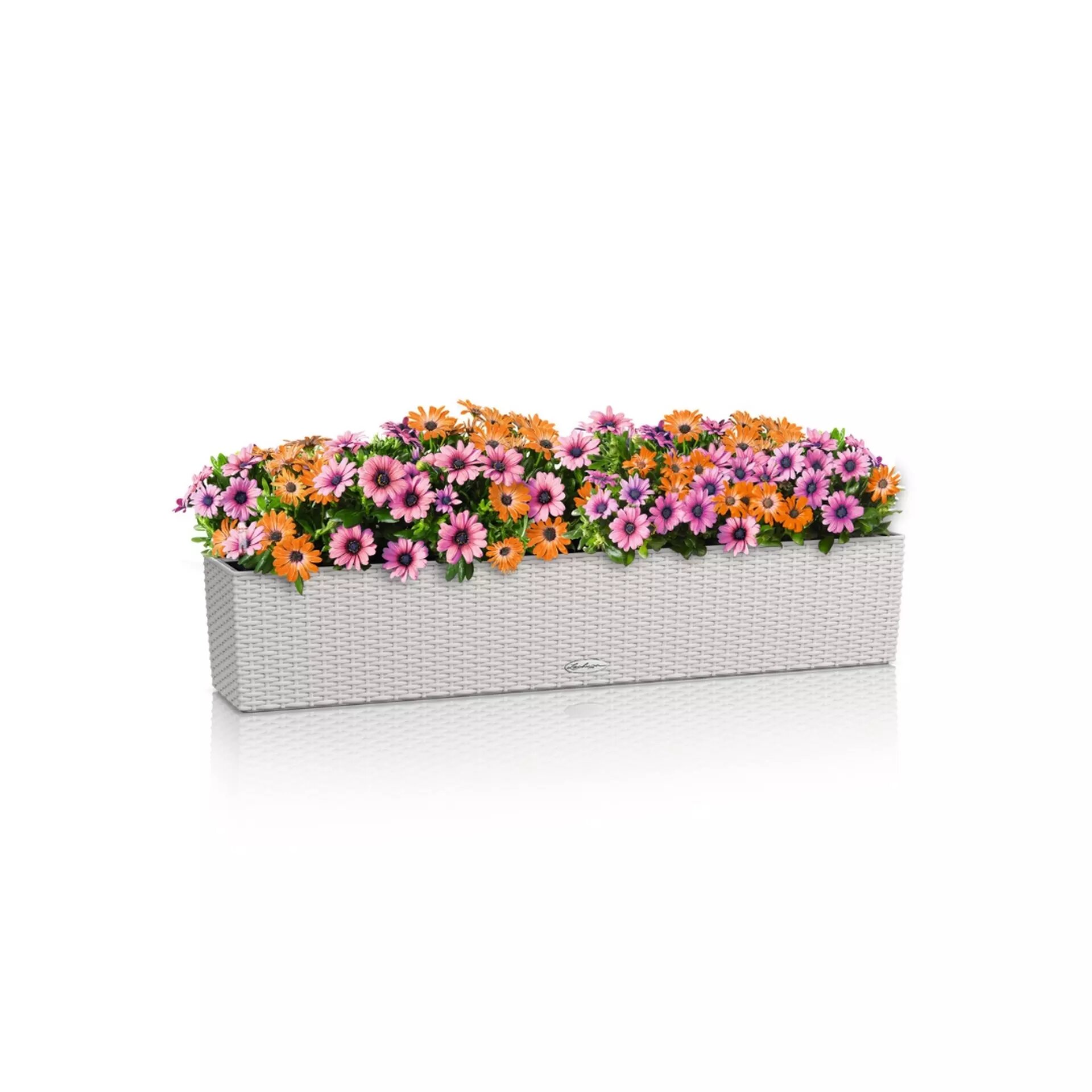 Кашпо с автополивом Lechuza BALCONERA Cottage 100, Д99 Ш19 В19 см, Светло-серое, матовое / Балконный горшок Лечуза 16 л