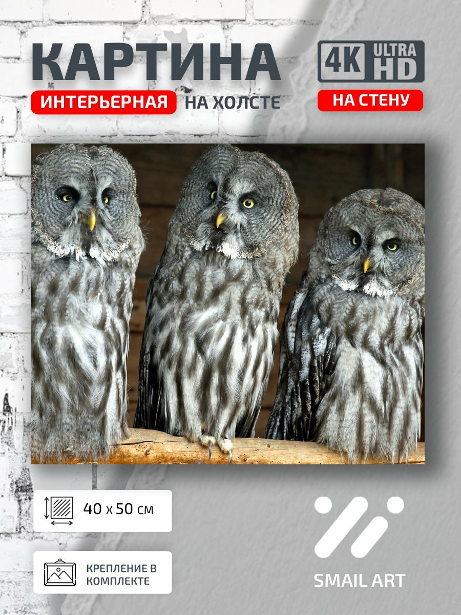 Картина на холсте интерьерная 40 на 50 на стену Неясыть Landscape для кабинета пейзаж декор