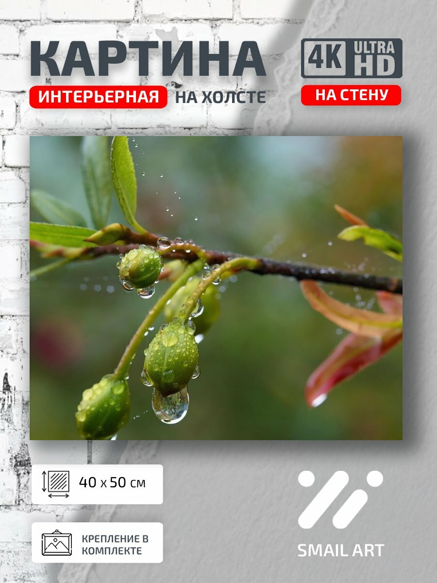 Картина на холсте интерьерная 40 на 50 на стену Капли Macro для студии макро интерьер декор