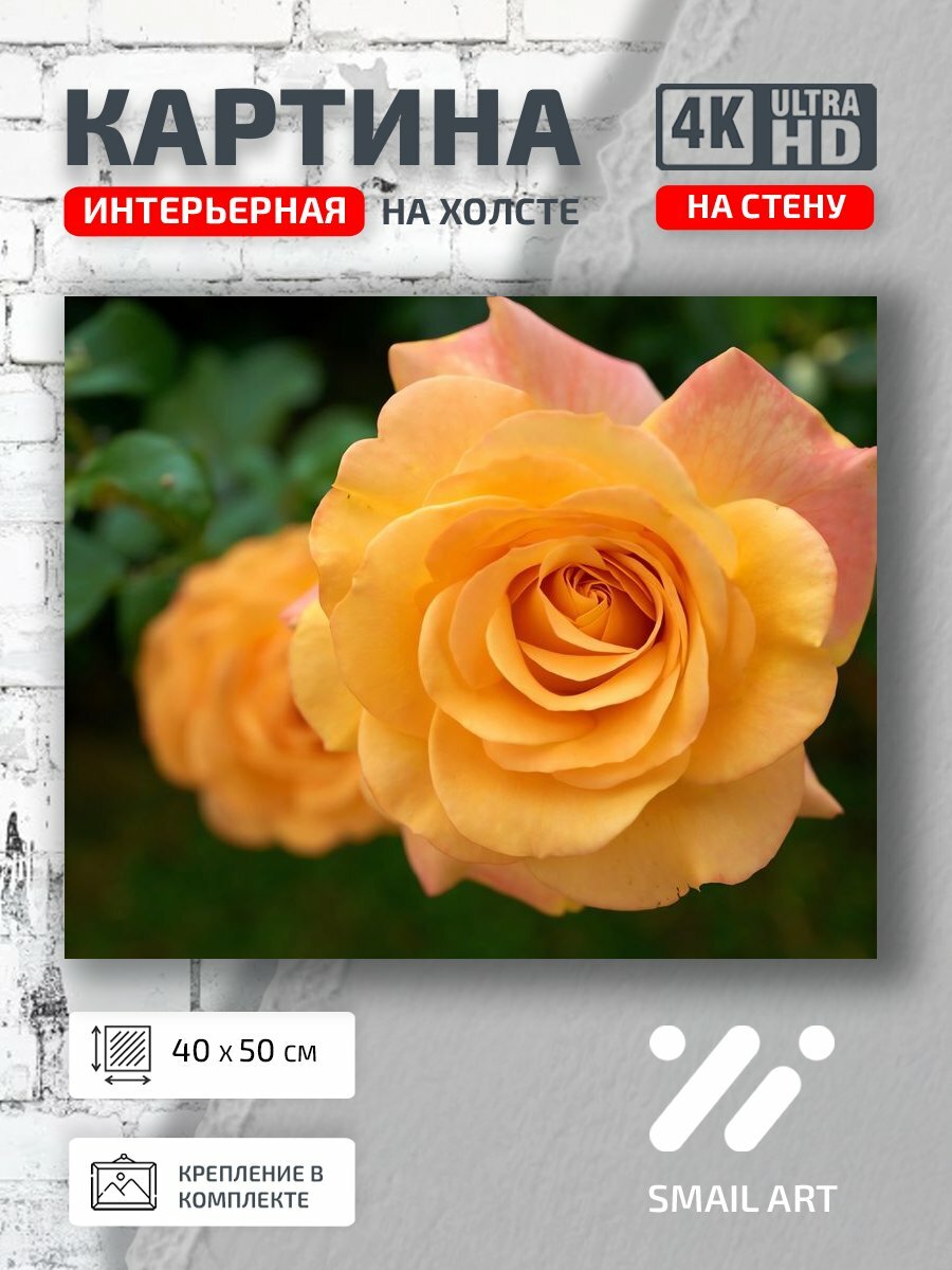 Картина на холсте интерьерная 40 на 50 на стену План Mood для офиса атмосфера интерьер