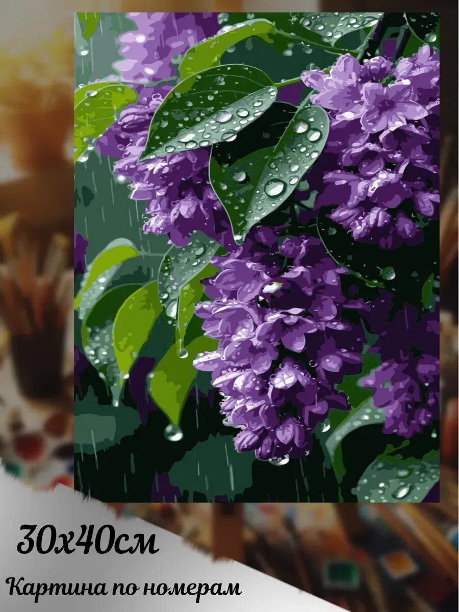 Картина по номерам сирень