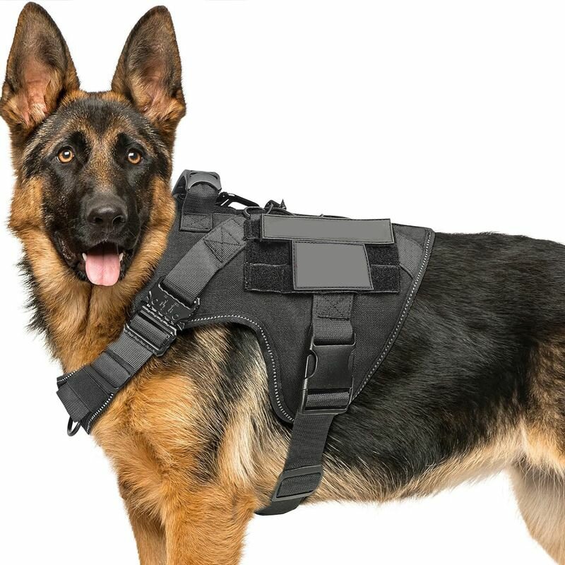 Одежда для животных