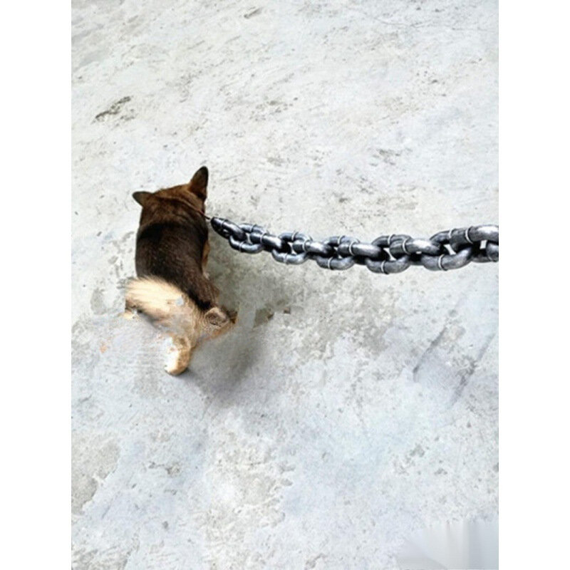 Товары для домашних животных 1.5m Тонкая бронзовая железная цепочка (только цепочка без воротника с крючком)
