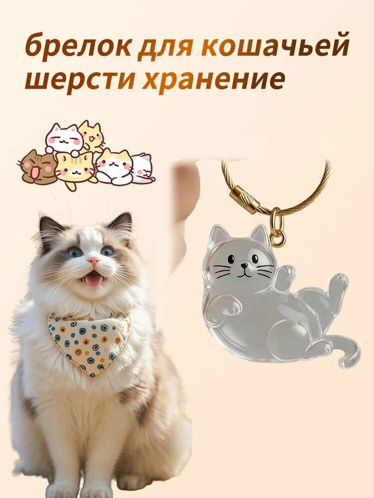 Прозрачная капсула для хранения кошачьей шерсти, пластиковый контейнер-брелок, коллекционный аксессуар для любителей кошек