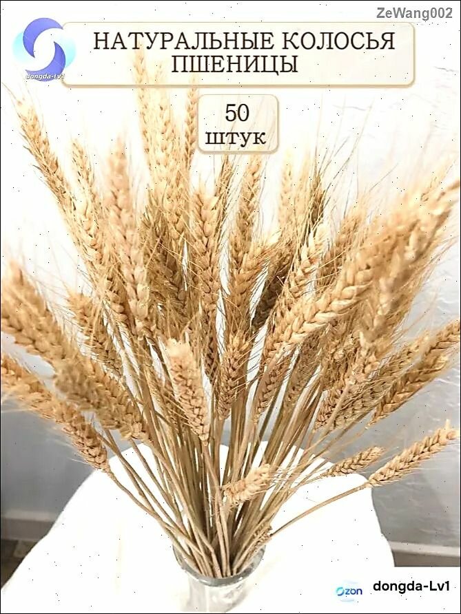 Сухоцветы Пшеница, 120 гр, 50 шт