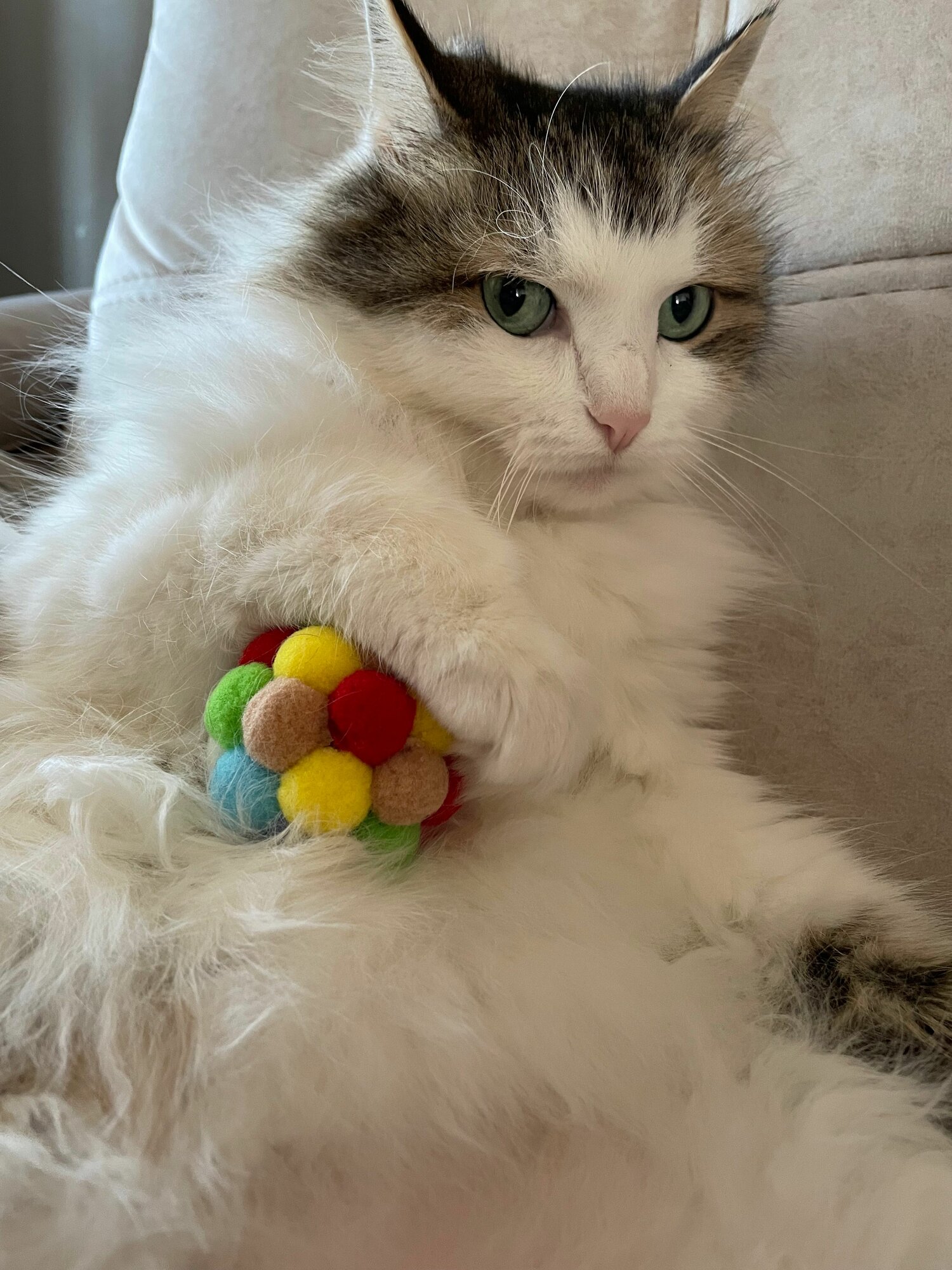 Игрушки для кошек, для собак, мягкий мячик с погремушкой из плюшевых шариков, мяч для котят, щенят. размер 6см - 1 шт.