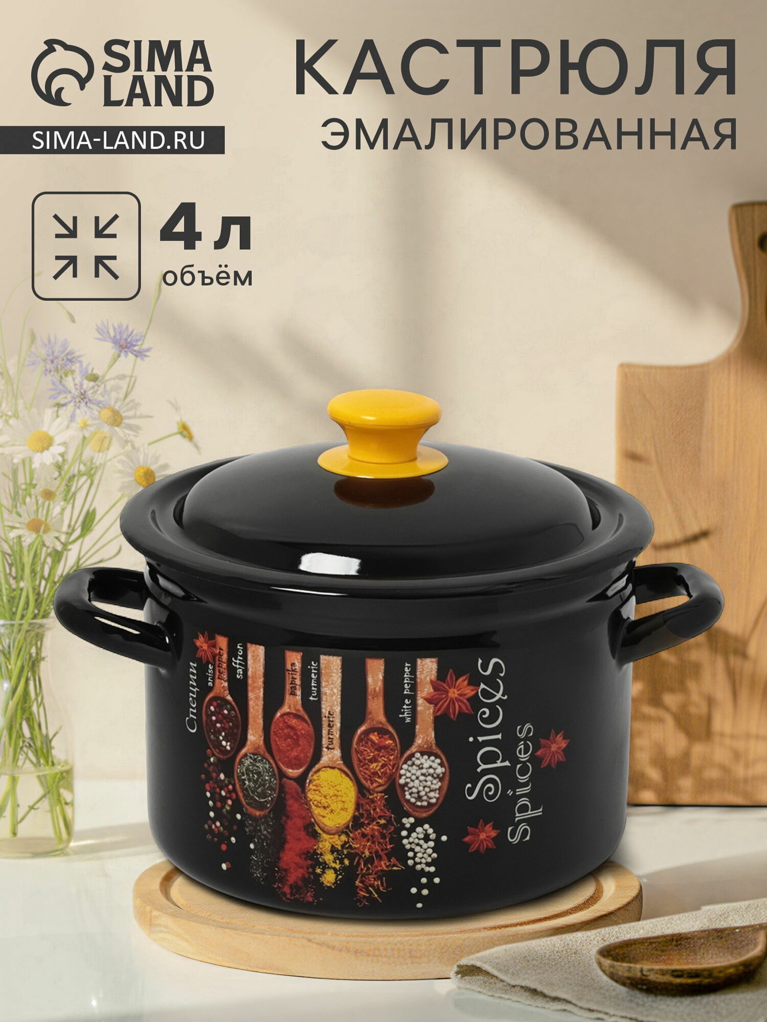 Кастрюля эмалированная "Карри", 4 л, d=21.3 см, с крышкой, чёрная