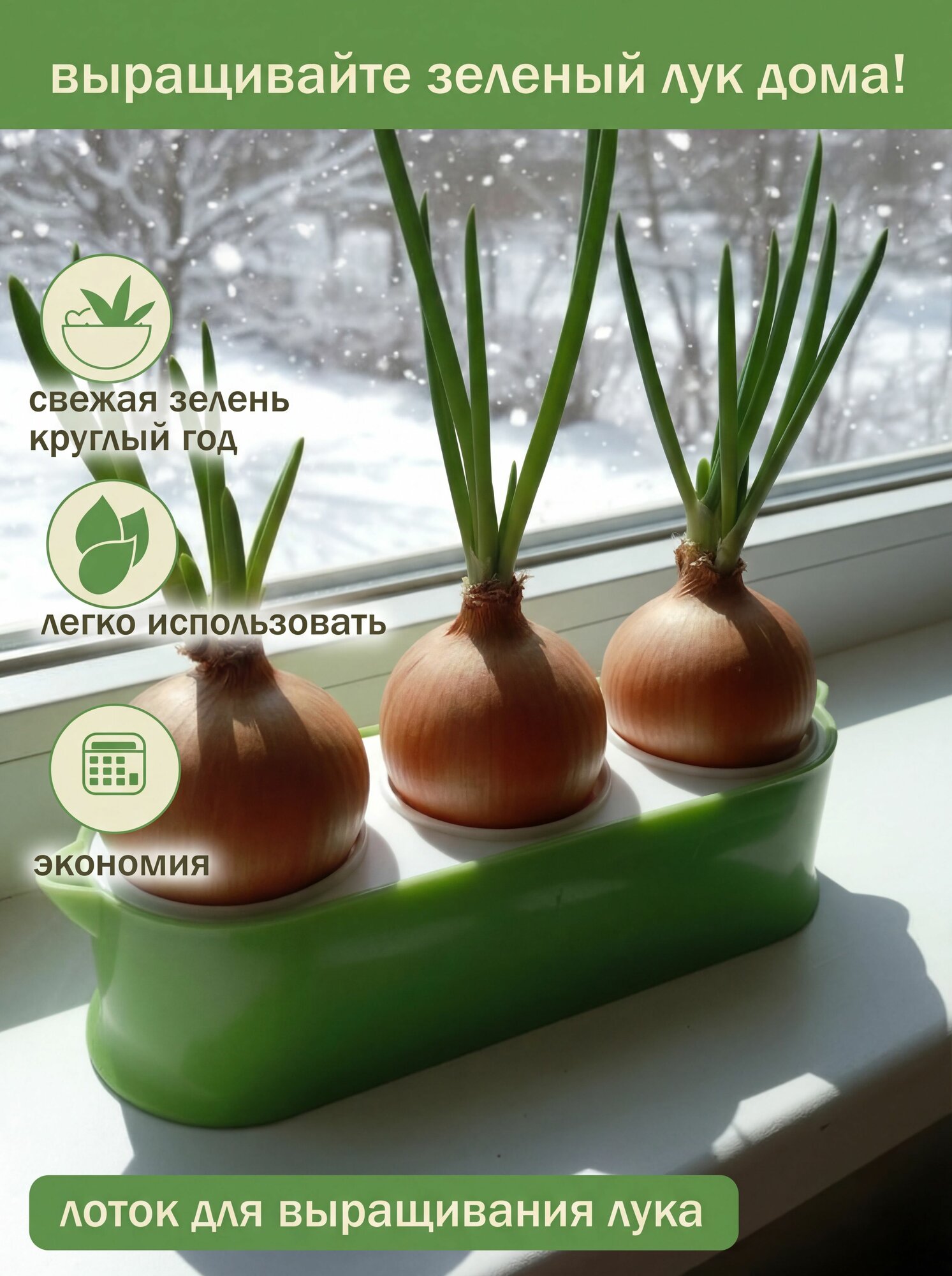 Лоток для выращивания лука на подоконнике трехсекционный с носиком для контроля воды