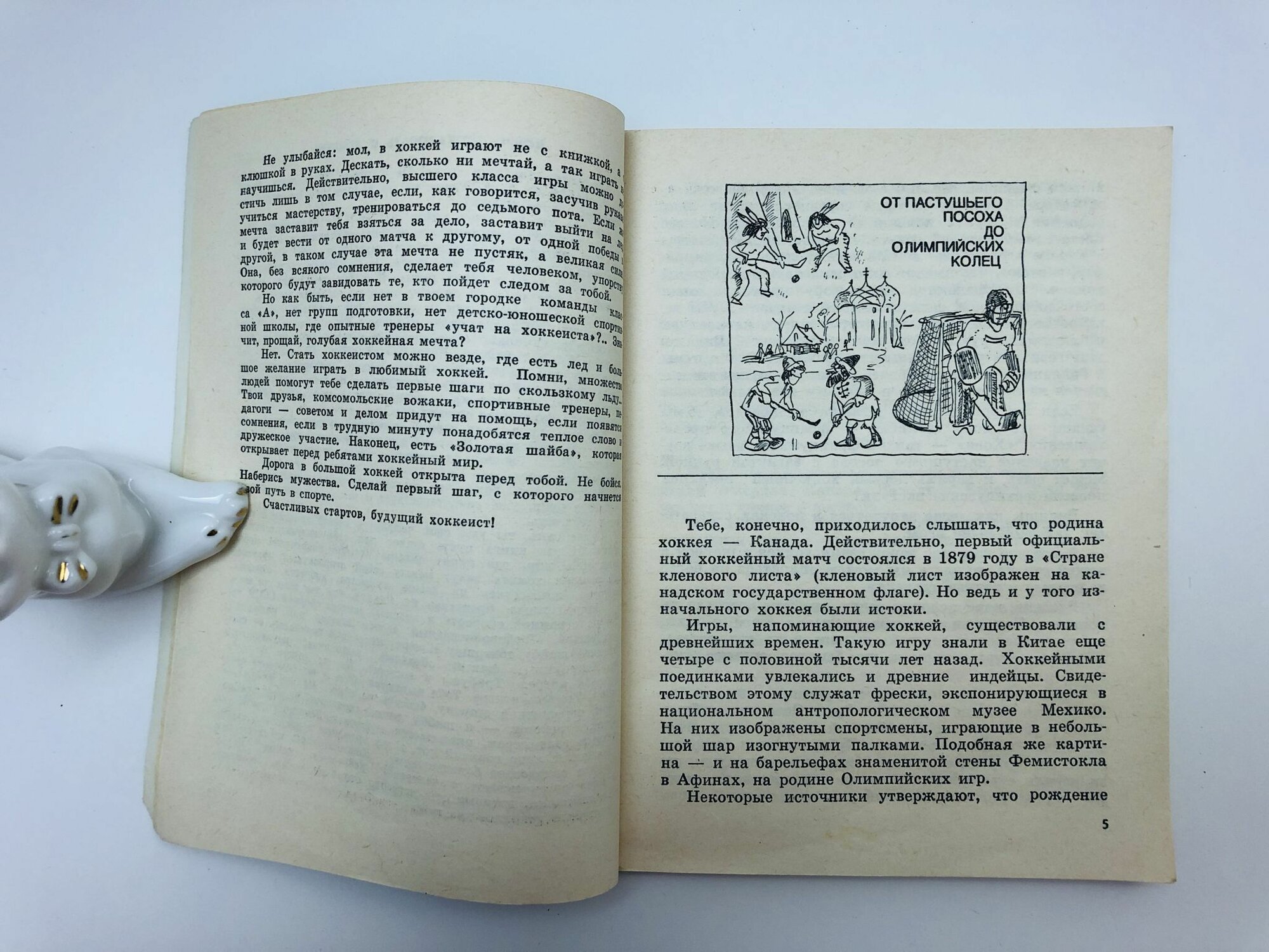 Это и есть хоккей — фото 1