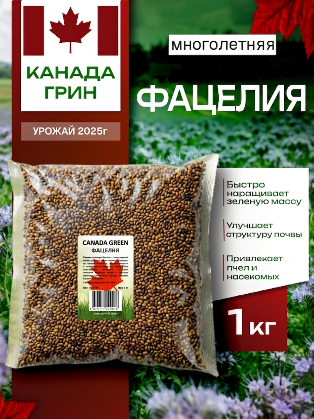 Семена Фацелии Canada Green 1 кг, сидерат для посева