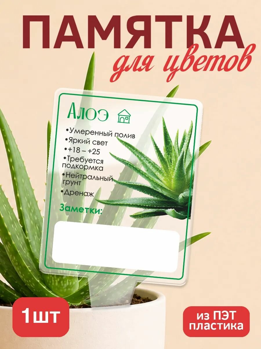 Памятка по уходу за цветами Алоэ