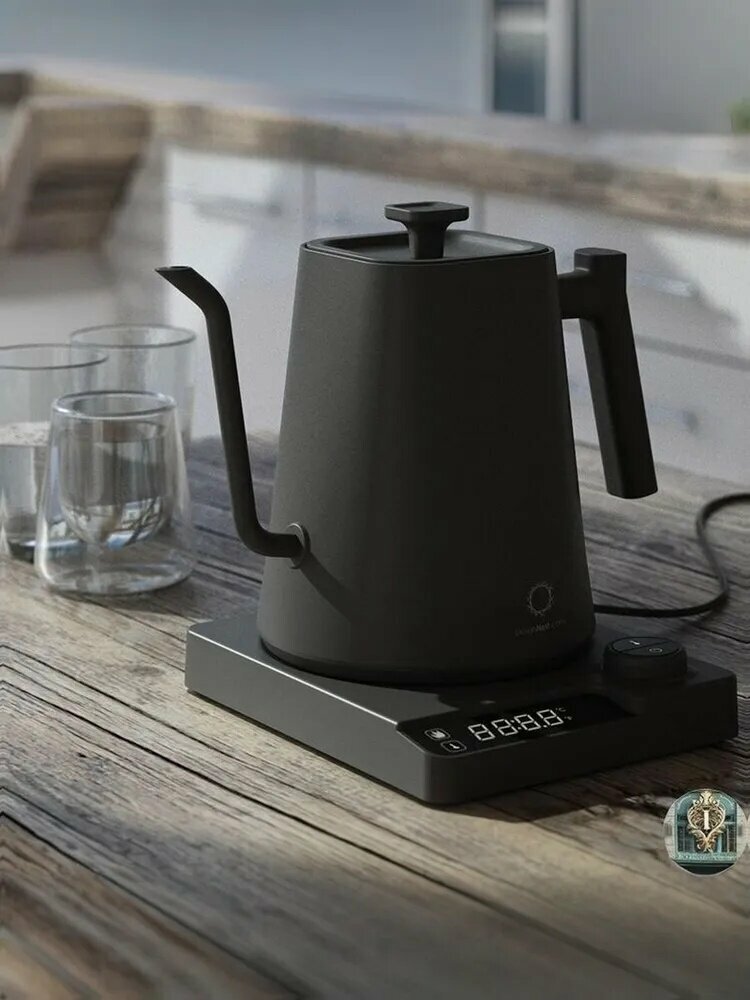 Электрический чайник Gooseneck Kettle110, нержавеющая сталь, черный матовый