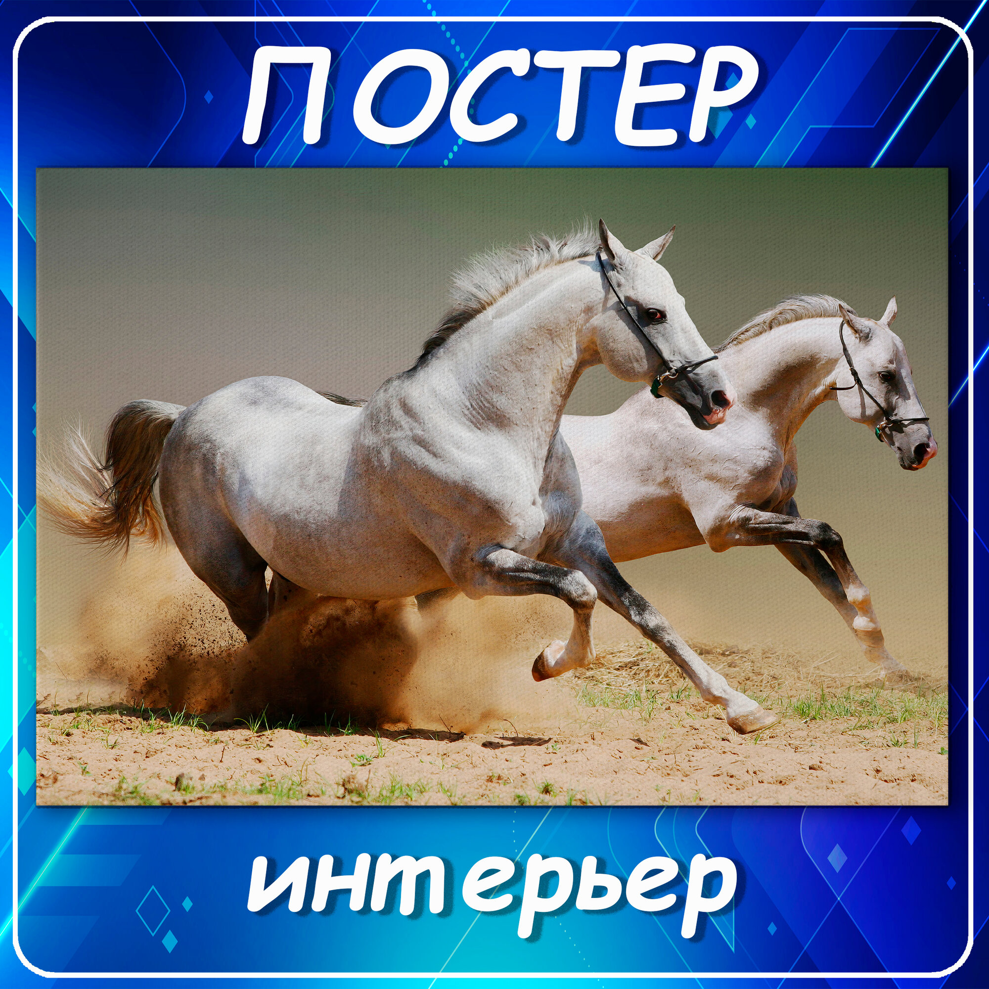Постер 05, плакат, животные, лошади, кони, постер интерьерный, арт 1-5 20х30 см