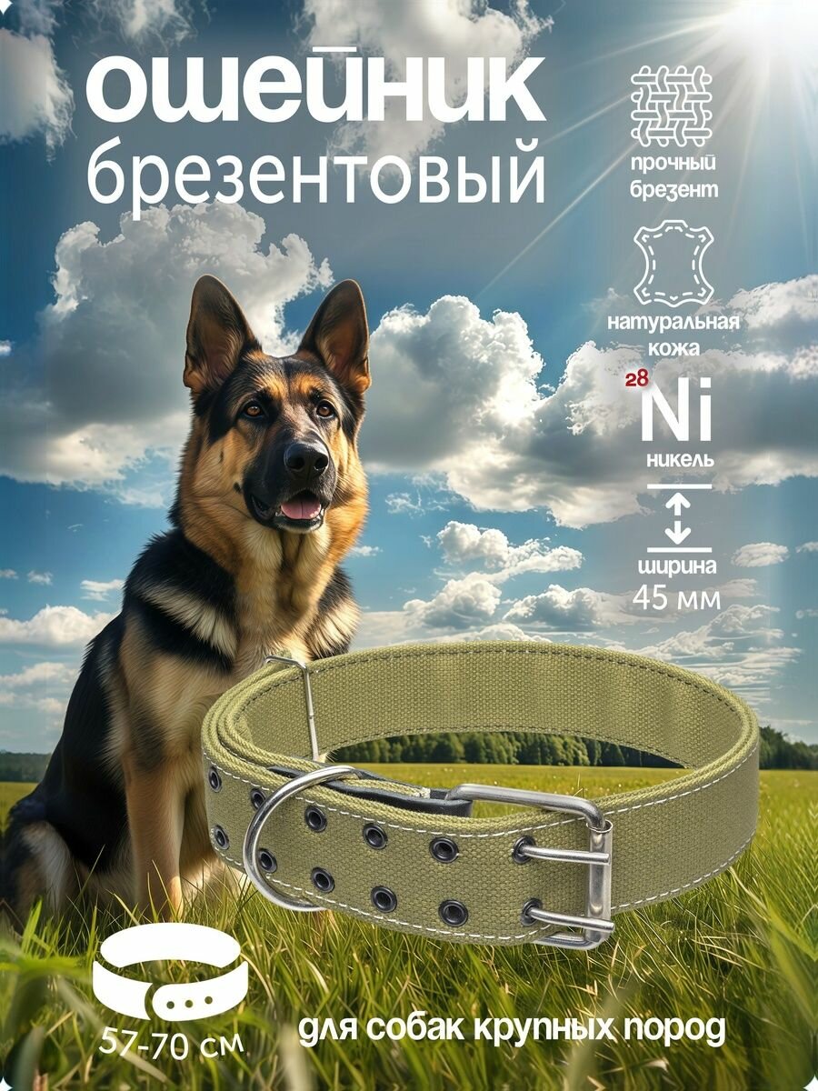 Ошейник для собак брезентовый двойной ZooMoDa