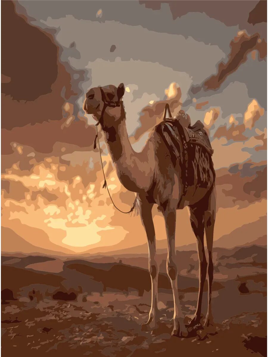 Картина по номерам 30x40 см верблюд