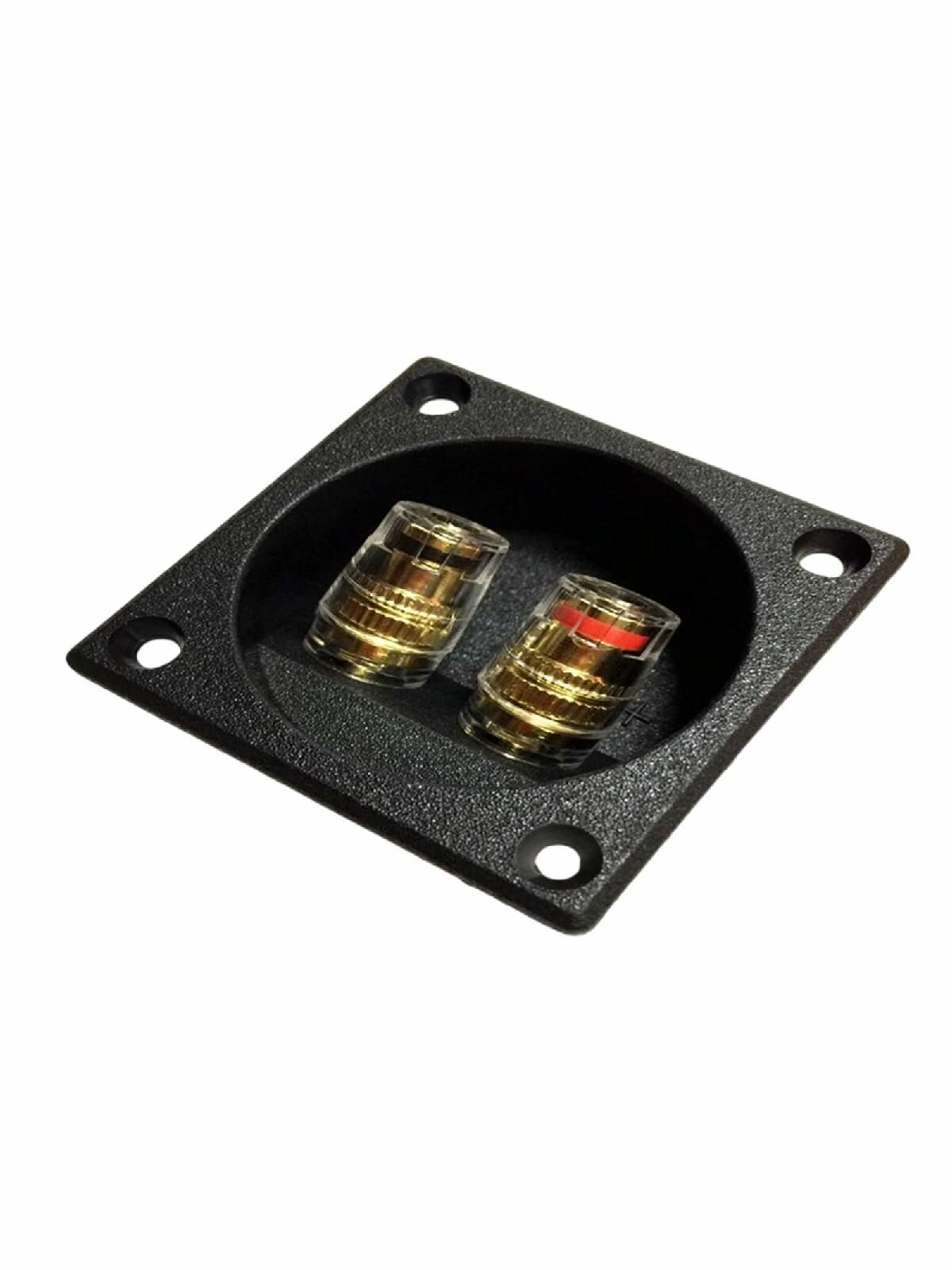 2 -й путь клемм -разъемы чашки для акустической коробки сабвуфер банан