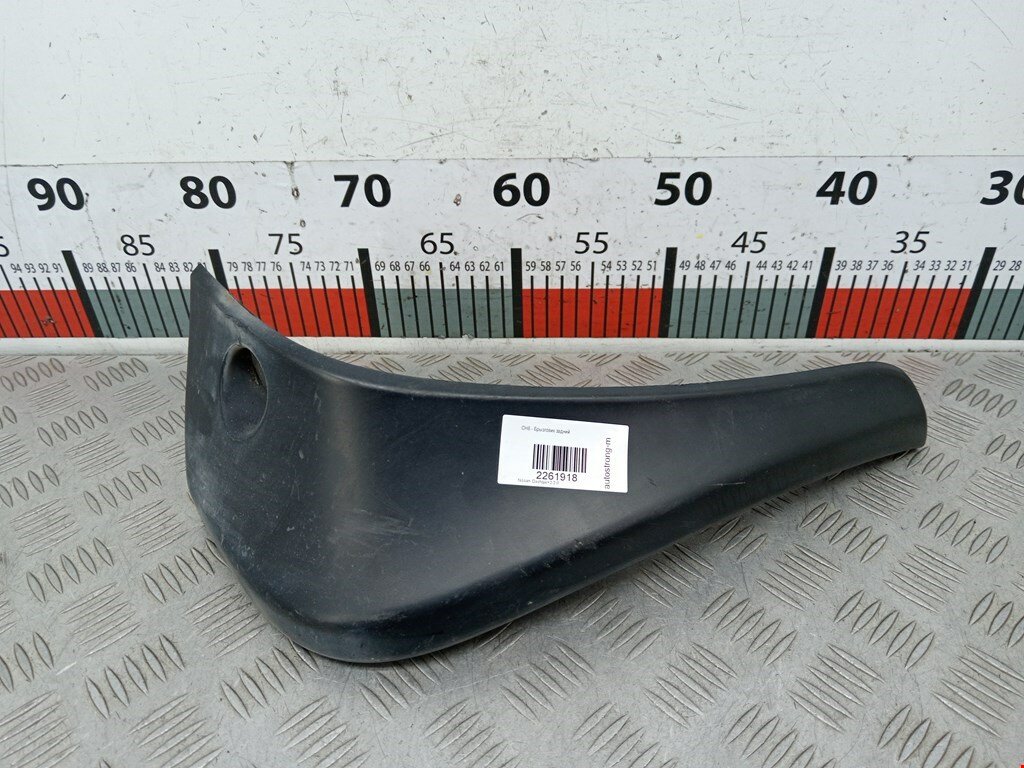 Брызговик задний Nissan Qashqai+2 78810BR01A арт. 2261918