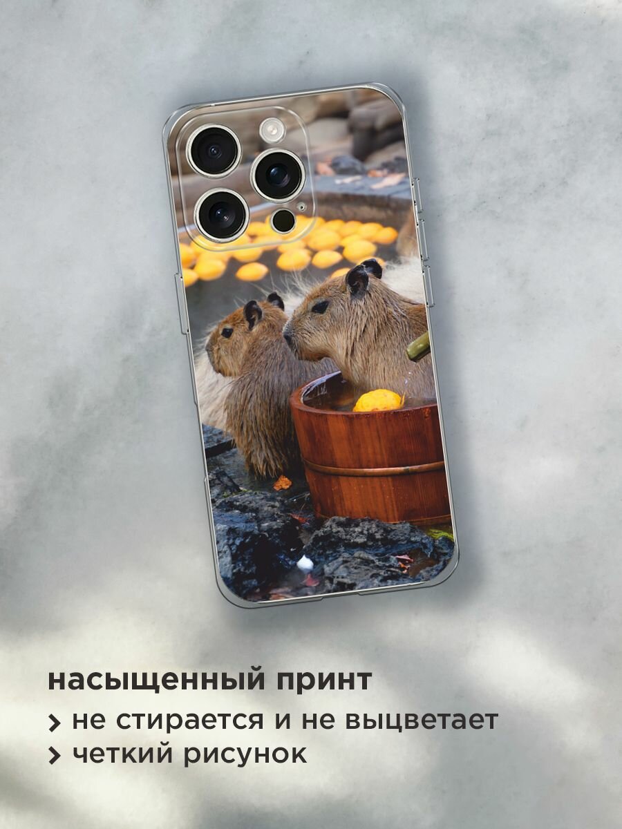 Чехол на Apple iPhone 16 Pro / Айфон 16 Про с принтом "Капибары отмокают" — фото 1