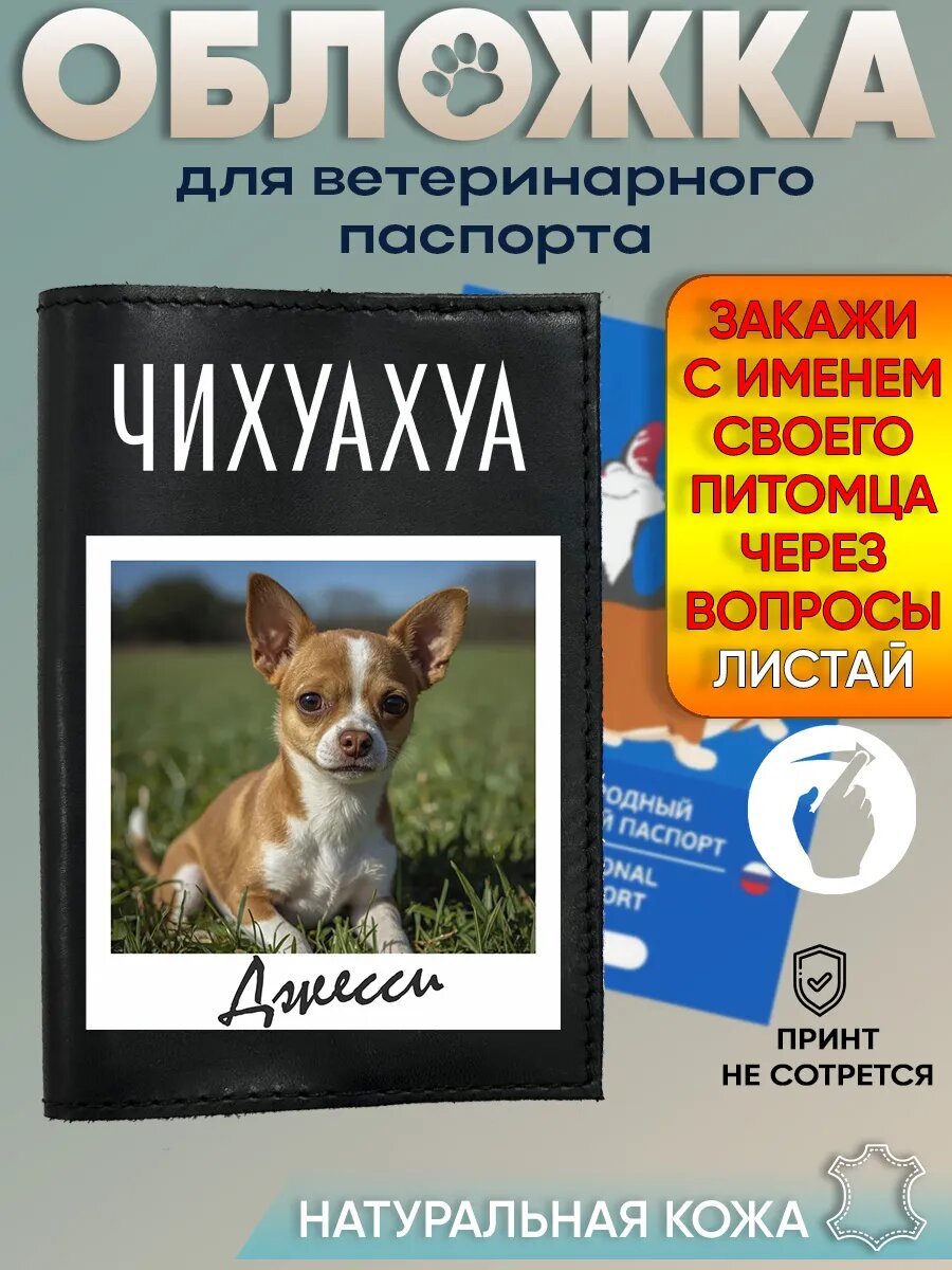 Обложка RenBel