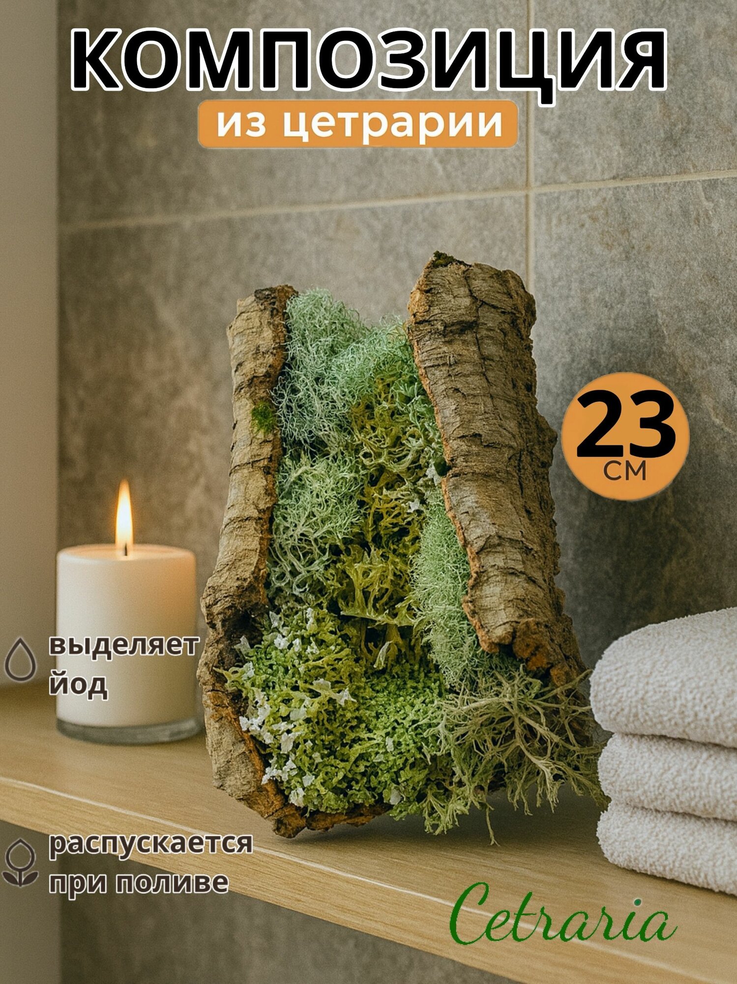 Композиция из цетрарии на коре - интерьерный декор ручной работы