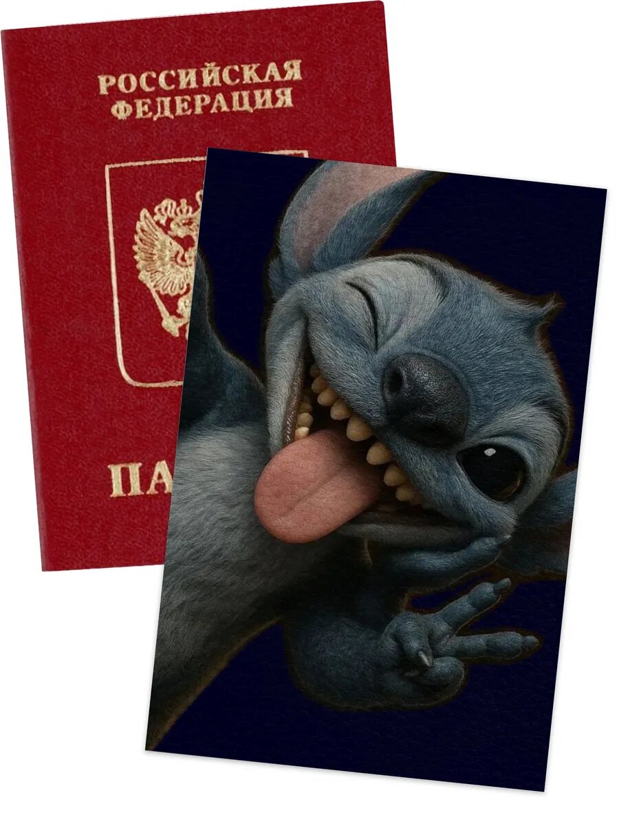 Обложка для паспорта