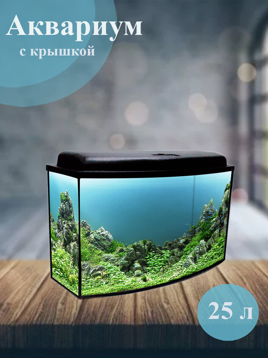Аквариум "Телевизор" 25 литров, с крышкой и подсветкой, аквариум с гнутым стеклом