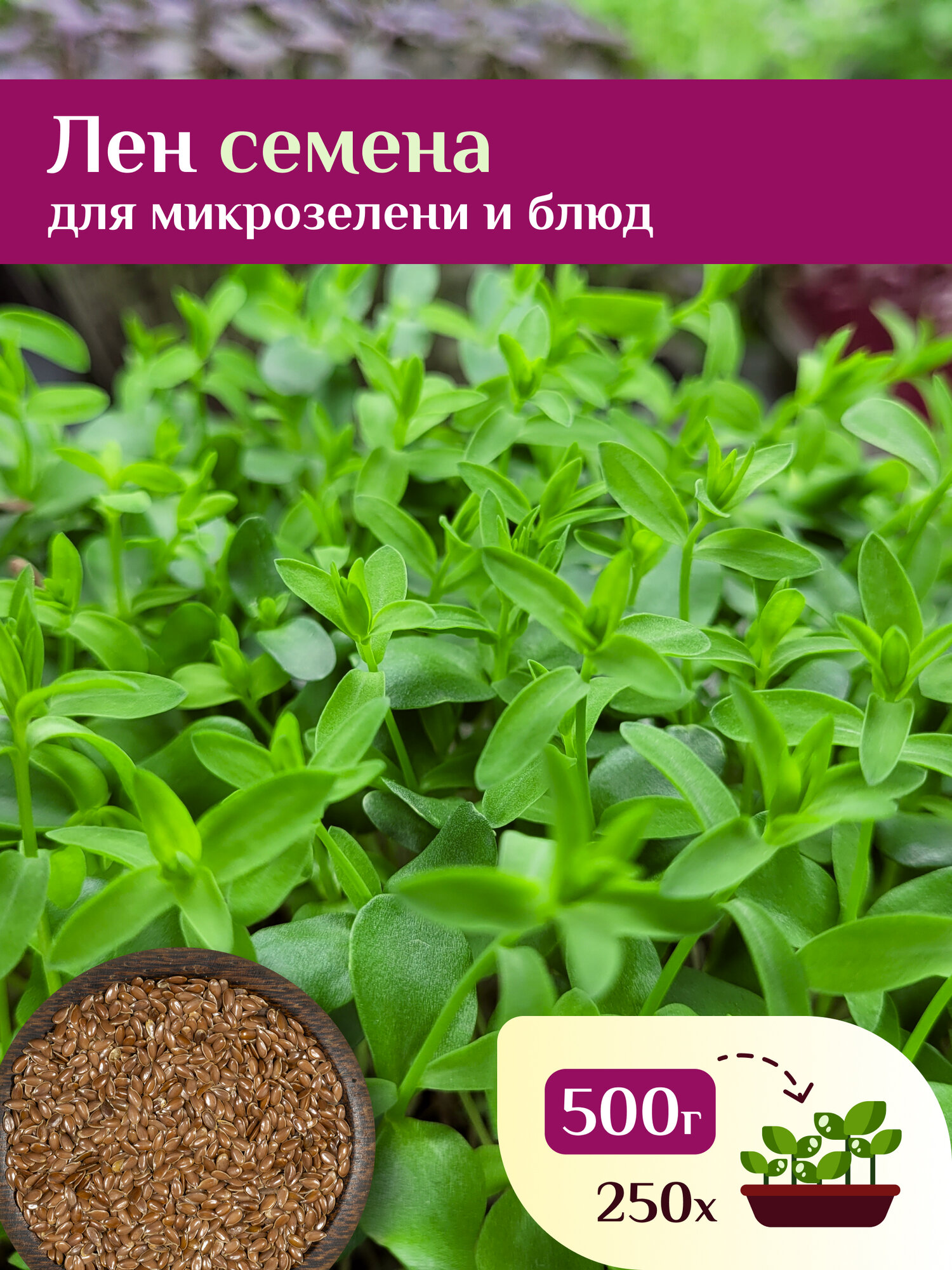 Лён семена для проращивания, Ильинские проростки 500г