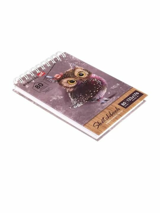 Скетчбук, белая бумага 120 г/м2 125176 мм, 80 л, гребень, твердая обложка, BRAUBERG ART DEBUT