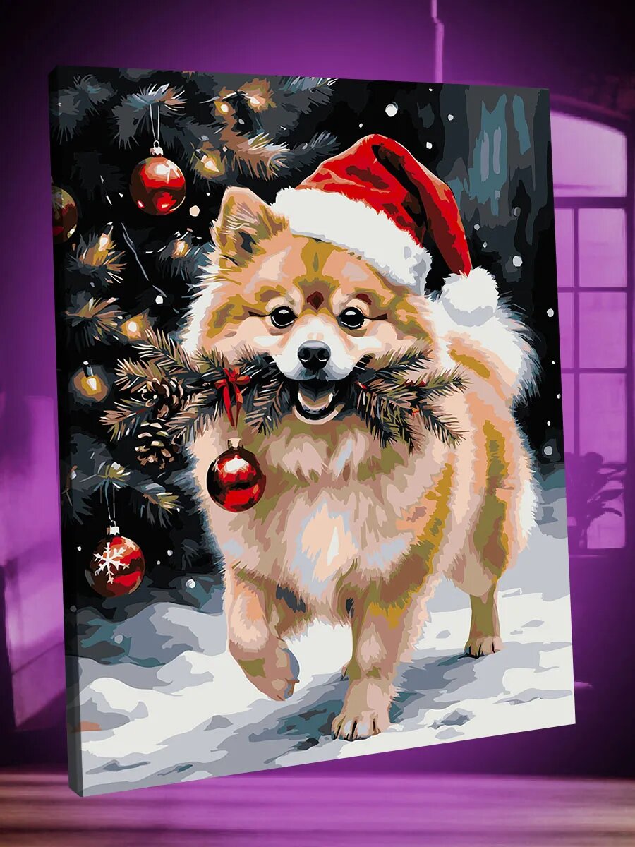 Картина по номерам Собака Шпиц