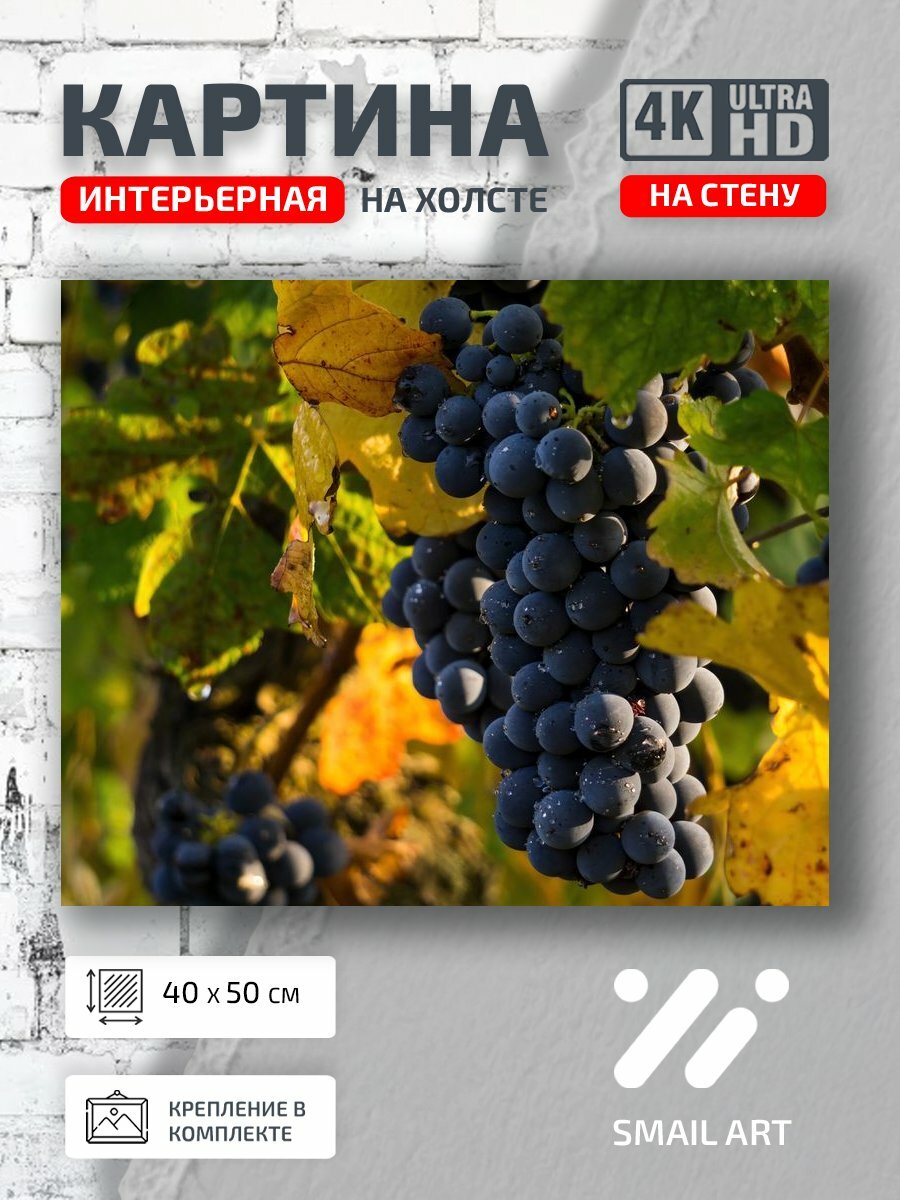Картина на холсте интерьерная 40 на 50 на стену Лоза Food для гостиной кулинария интерьер