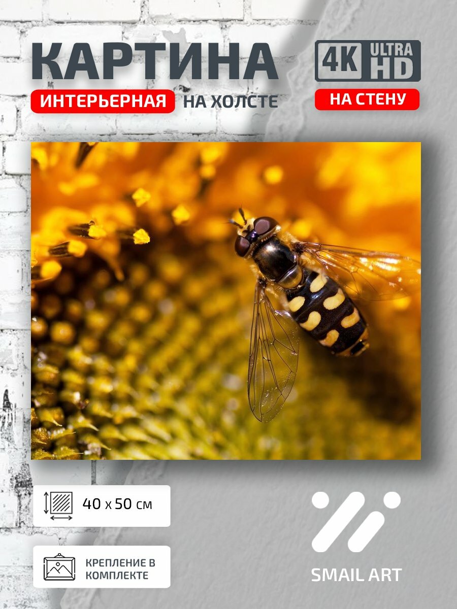 Картина на холсте интерьерная 40 на 50 на стену Подсолнухе Mood для офиса атмосфера декор
