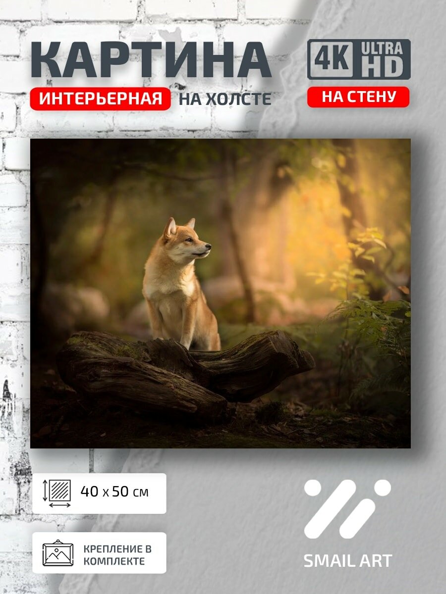 Картина на холсте интерьерная 40 на 50 на стену Животные Собака для кабинета атмосфера