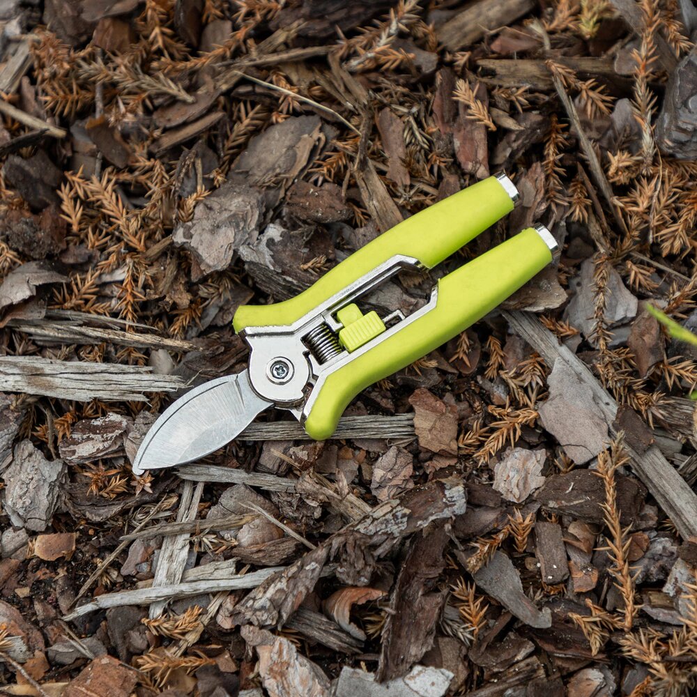 Секатор-ножницы для комнатных растений TRAVENA, салатовый, нержавеющая сталь