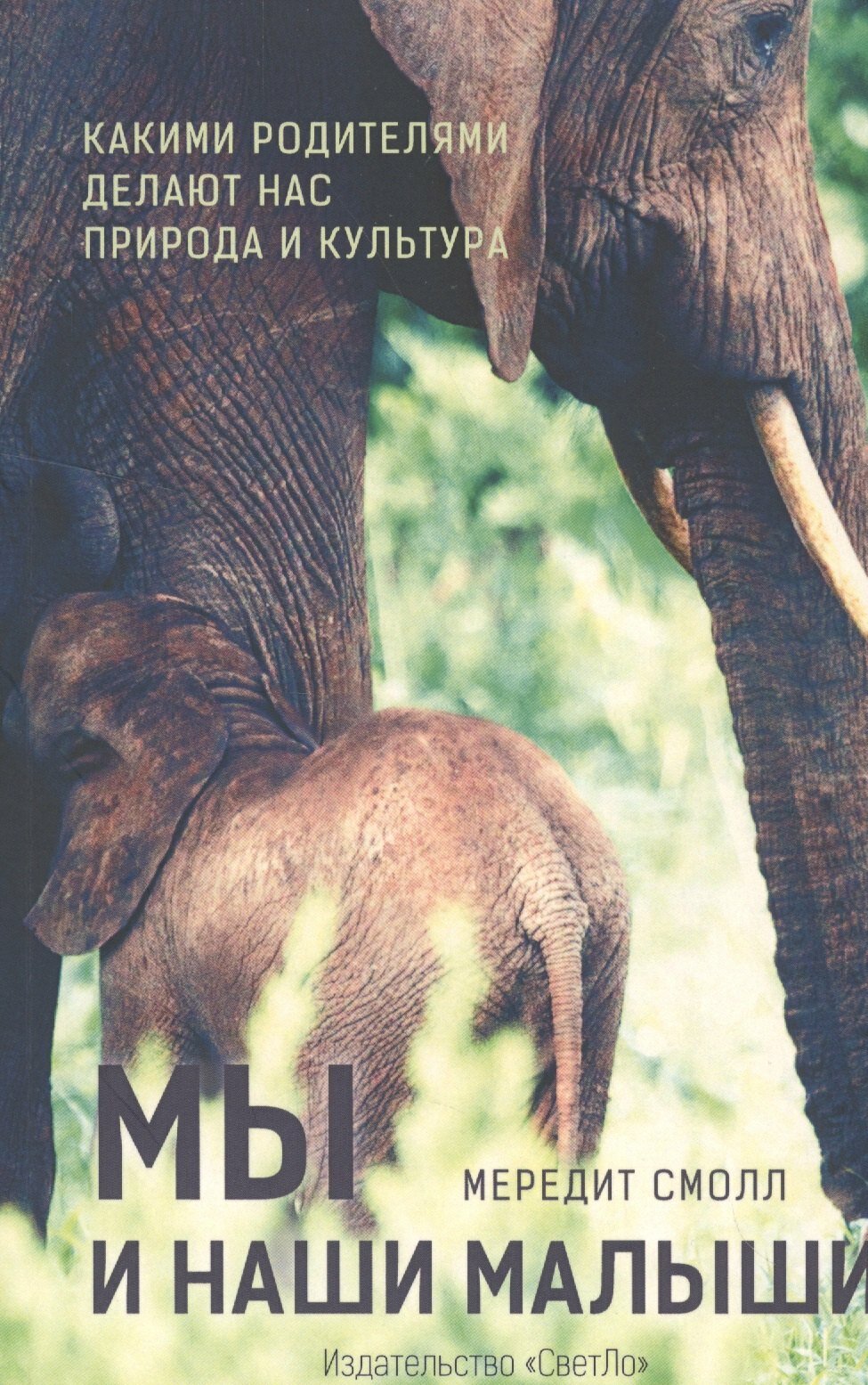 Книга: "Мы и наши малыши. Какими родителями делают нас природа и культура" от Смолл М, русский язык, Психология воспитания и обучения детей